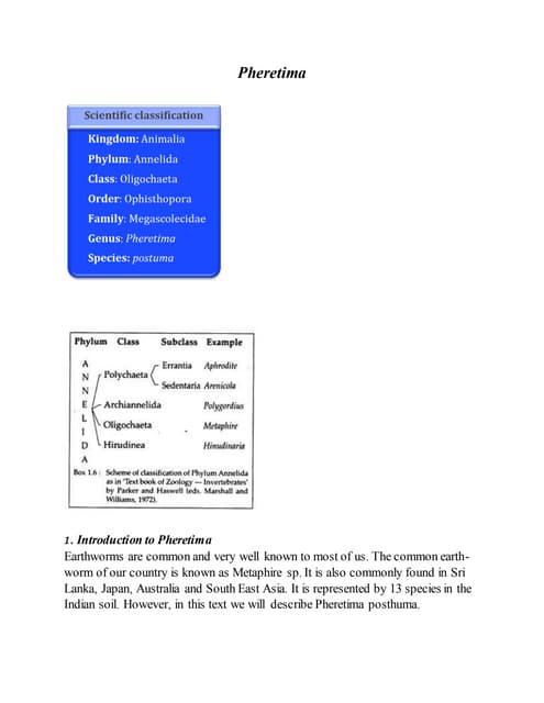 Cockroach Class 11th NEET CBSE NCERT Biology | PDF