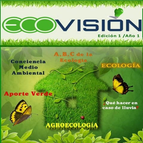 ECOVISION | PDF