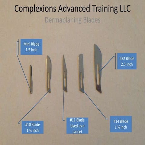 Dermaplaning Blades Size Comparison | PPT