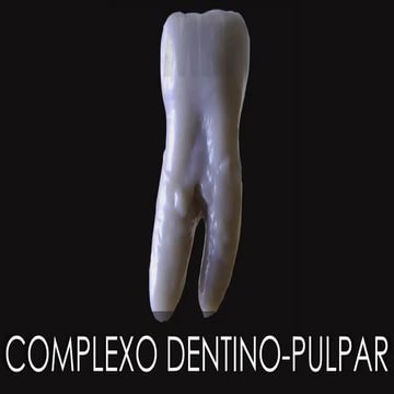 COMPLEXO DENTINO-PULPAR E SUAS FUNCIONALIDADES NA ODONTOLOGIA | PDF