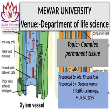 class 9th complex tissue xylem in detail | PPTX