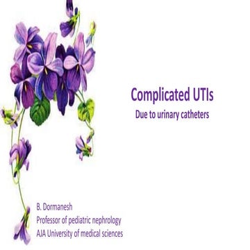 Complicated uti | PDF