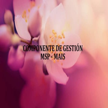COMPONENTE DE GESTIÓN DEL SISTEMA NACIONAL DE SALUD- MAIS.pptx