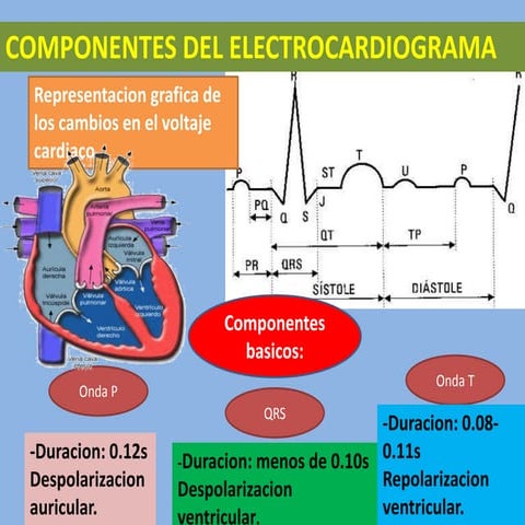 Componentes del electrocardiograma | PPTX