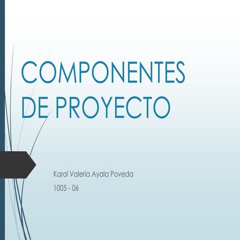 Componenetes del proyecto, introduccion, justificacion, objetivos ...