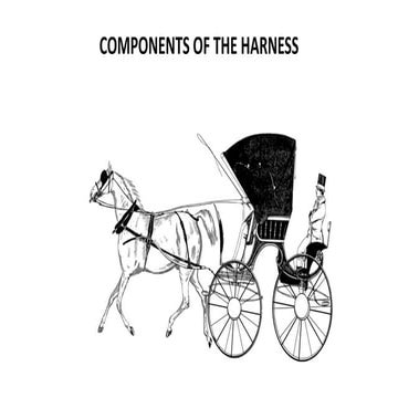 Components Of The Harness | PPT