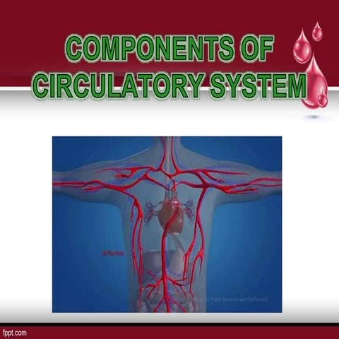 Components of Circulatory System | PPTX