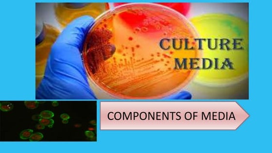 Media formulation | PPTX | Chemistry | Science
