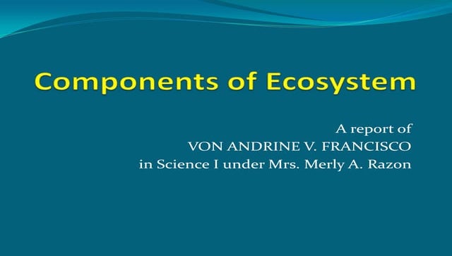 The components of an ecosystem