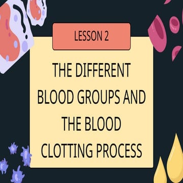 Components of the Blood Biology Presentation in a Yellow Blue Bold ...