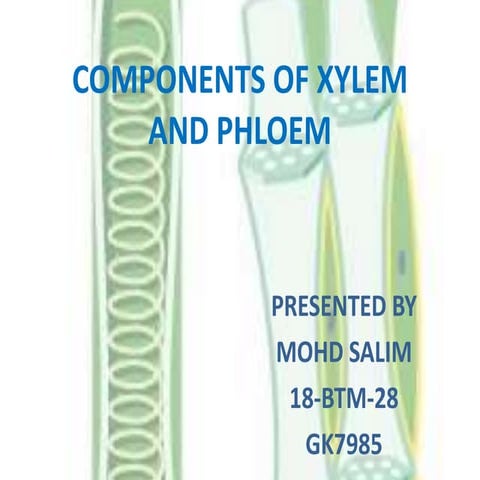 class 9th complex tissue xylem in detail | PPTX