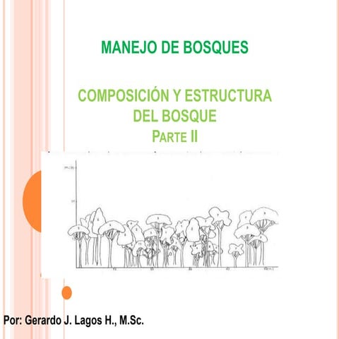 Composición y estructura del bosque parte II | PPTX
