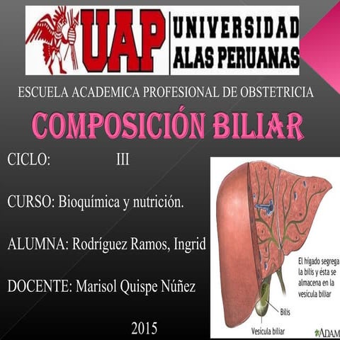 Composicion de-la-bilis | PPT
