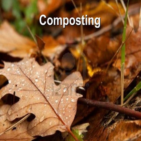 Composting | PPT