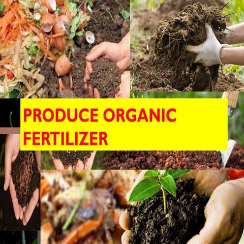 Produce Organic Fertilizer - composting.pptx