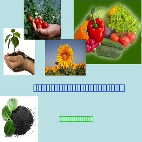 Composting organic fertilizer method | PPT | Gardening | Home & Garden