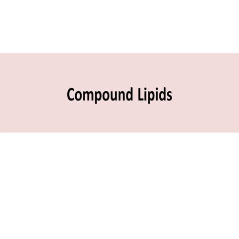 Compound lipids | PPT
