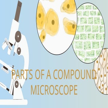 BALANCED AND UNBALANCED FORCE grade 7 physics | PPTX