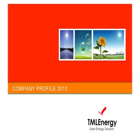 Comp profile 2013 | PPT