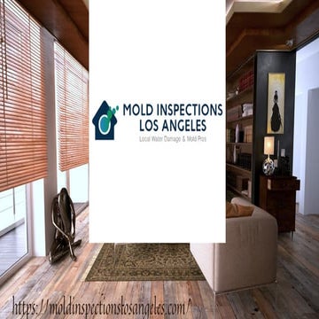 Comprehensive Mold Inspection Services: Ensuring a Professional ...