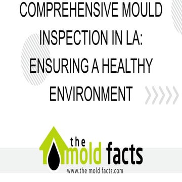 Unveiling the Silent Intruder: Recognizing the Signs of Mold Exposure ...
