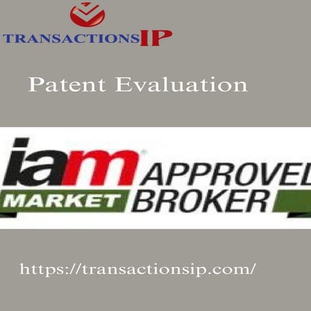 Comprehensive Patent Evaluation Services TransactionsIP.pdf