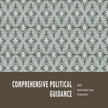 Comprehensive political guidance | PPTX