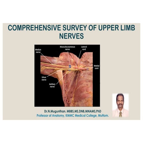 COMPREHENSIVE SURVEY OF UPPER LIMB NERVES-Prof.Dr.N.Mugunthan.pdf