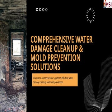 Comprehensive Water Damage Cleanup & Mold Prevention Solutions.pptx