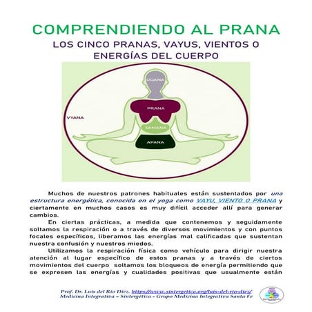 COMPRENDIENDO AL PRANA. LOS CINCO PRANAS, VAYUS, VIENTOS O ENERGÍAS DEL ...