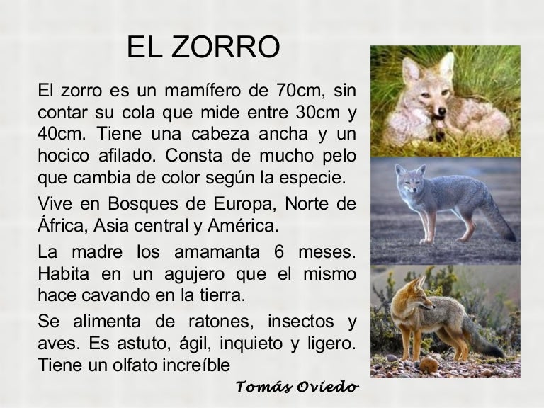 Comprensión lectora el zorro
