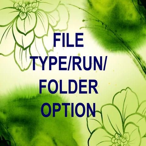 FILE TYPE/RUN/ FOLDER OPTION | PPT