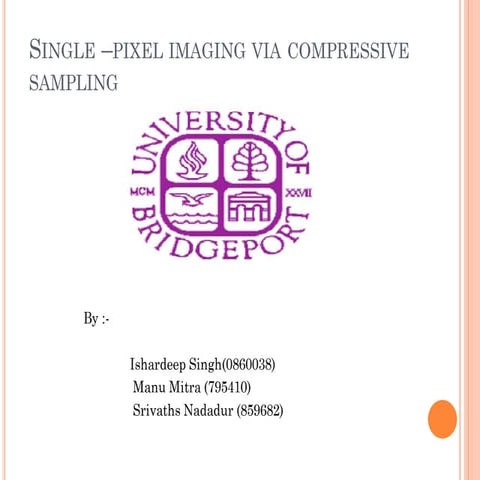 Compressive Sampling Presentation | PDF