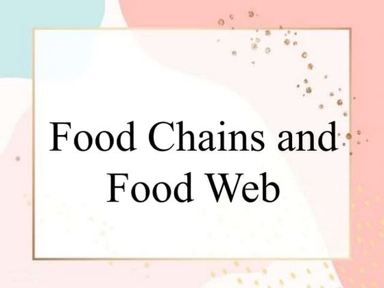 Food web presentation | PPT