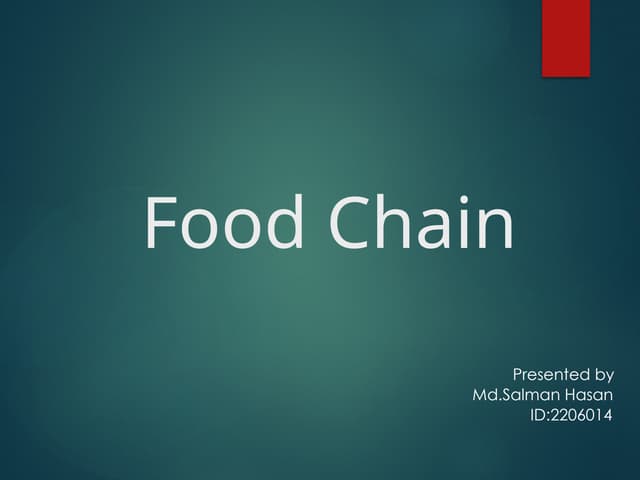 The Food Web PowerPoint | PPTX