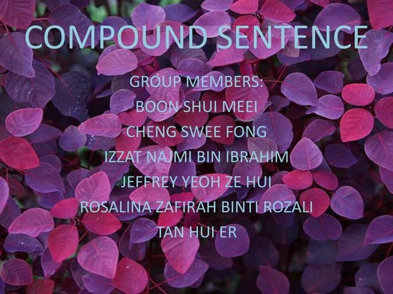 Basic sentence patterns_with_e | DOC