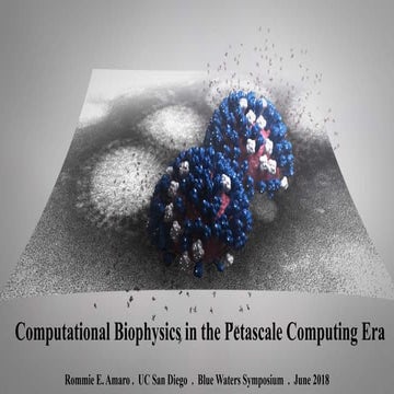 Computational Biophysics in the Petascale Computing Era | PDF