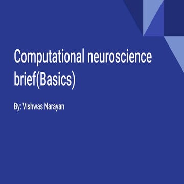 Computational neuroscience brief(basics) | PPT