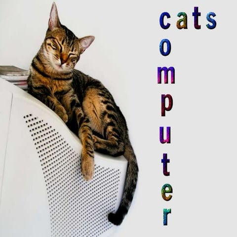 COMPUTER CATS | PPSX