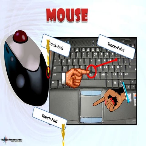 Computers Skills Basic | PPS | Computer Peripherals | Computing