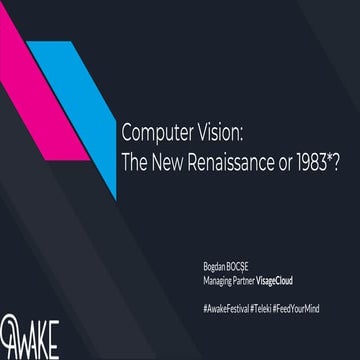 Computer Vision - The New Renaissance or 1983? | PPT