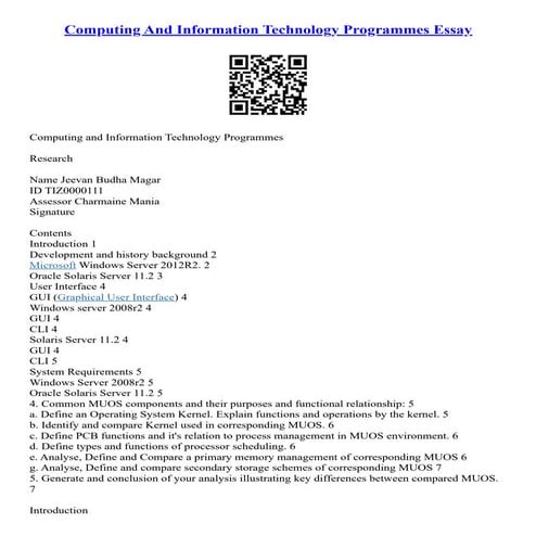 Computing And Information Technology Programmes Essay | PDF