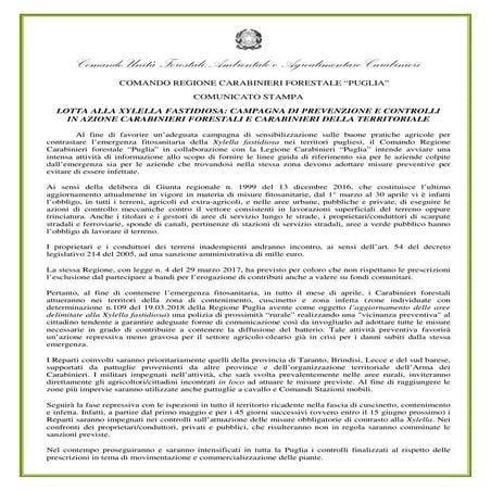 Comunicato stampa carabinieri forestale | PDF