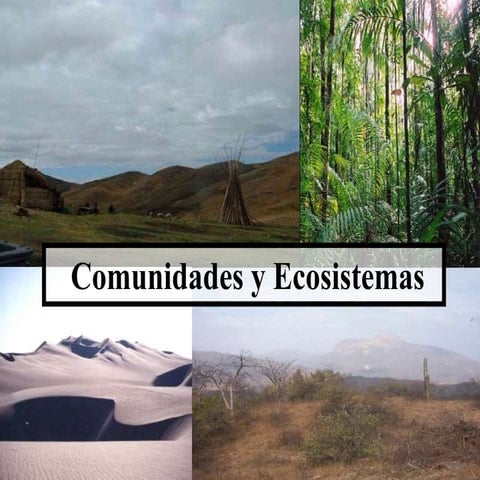 Comunidades y ecosistemas | PPTX