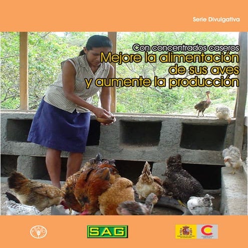 Concentrados caseros para aves | PDF