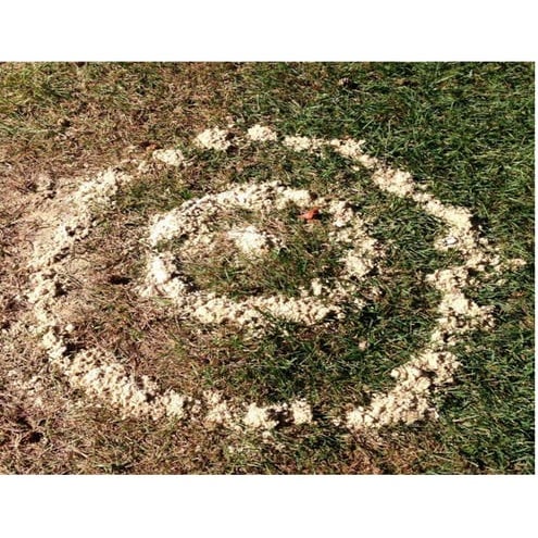 Concentric circles | DOCX