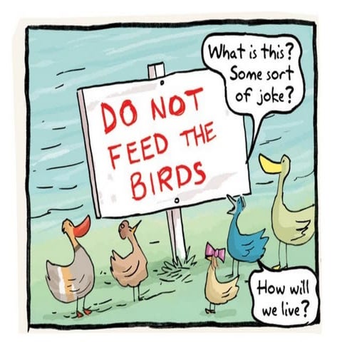 Concept cartoons | PPT