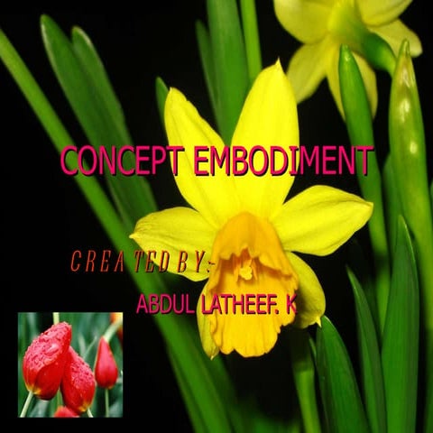 Concept embodiment | PPT