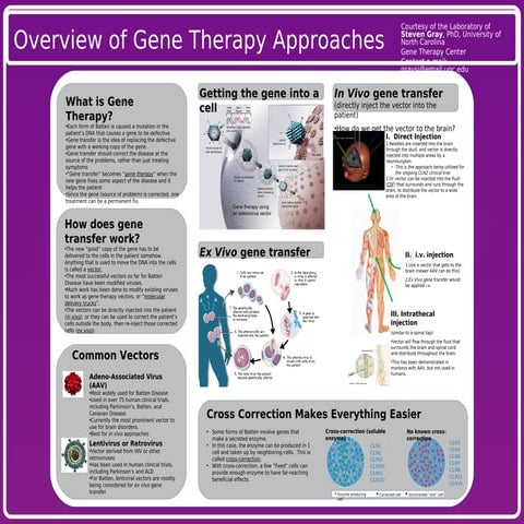 Concept gene therapy gray | PPT