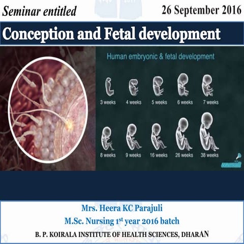 Conception and fetal development by Heera KC Parajuli | PPSX